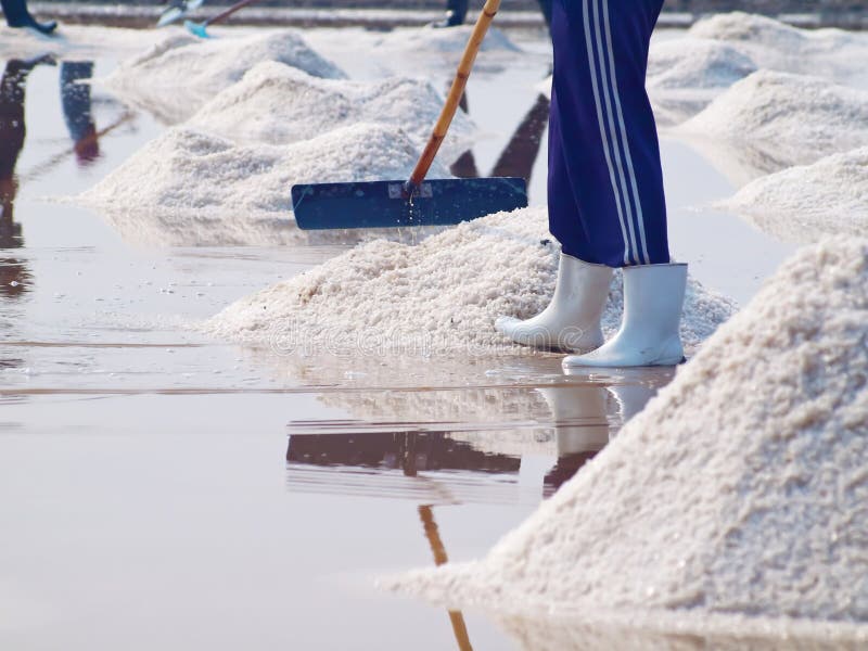 Salt pan stock image. Image of field, outdoor, environment - 24223339