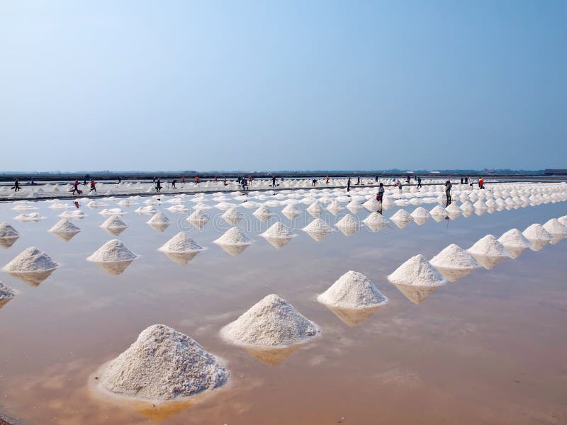 Salt pan stock photo. Image of environment, flake, pile - 24604478
