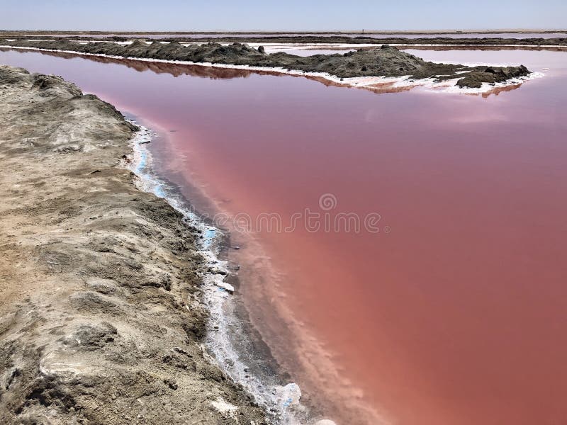 Salt pan stock photo. Image of field, salt, desalination - 169048284