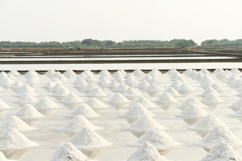 Salt pan. stock photo. Image of agricultural, rural, cultural - 30603532