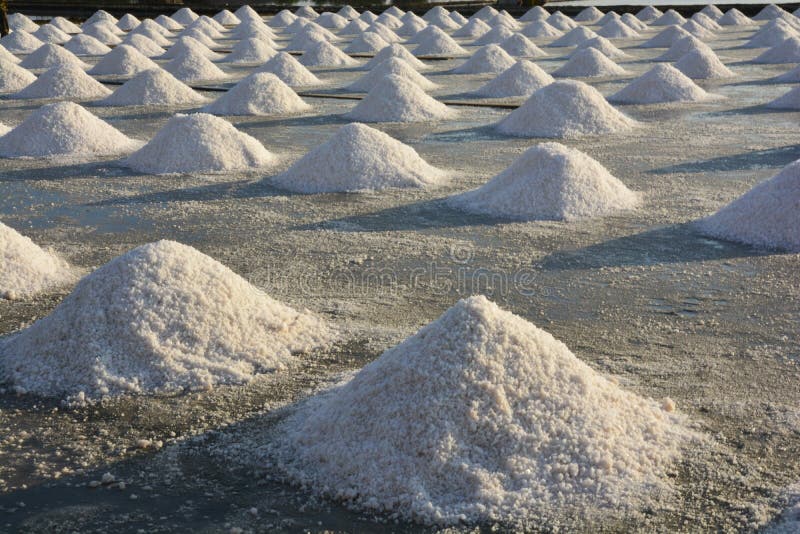 Salt pan or salt field stock image. Image of scenery - 96850995