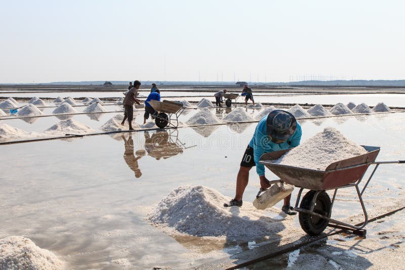 Salt pan stock photo. Image of summer, salterns, field - 37864324