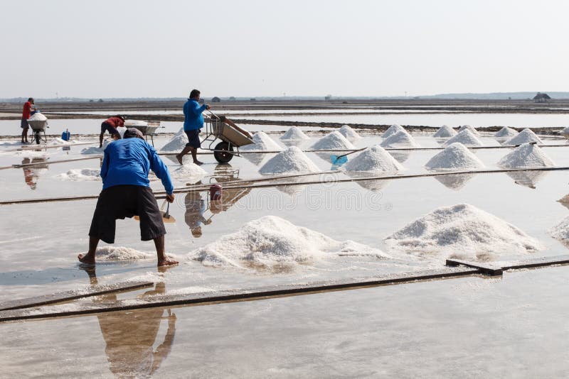 Salt pan editorial image. Image of salt, salterns, salty - 37864265