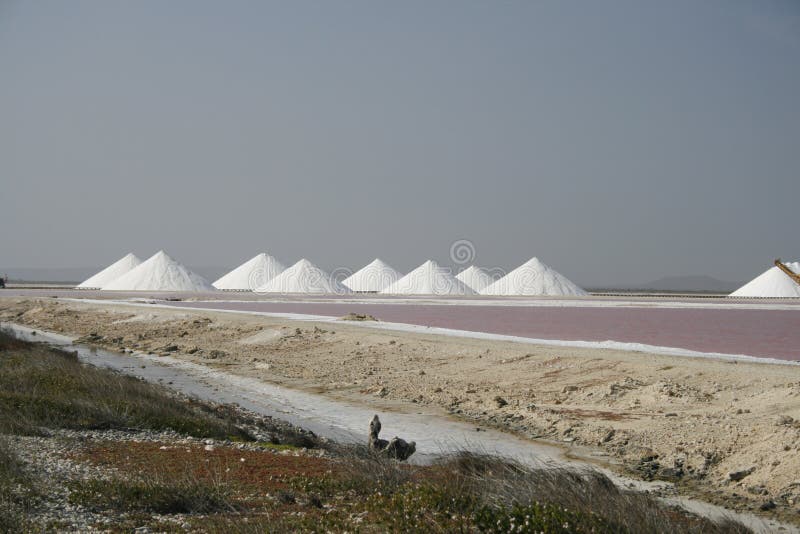 Salt pans stock photo. Image of water, bonaire, truck - 16543096