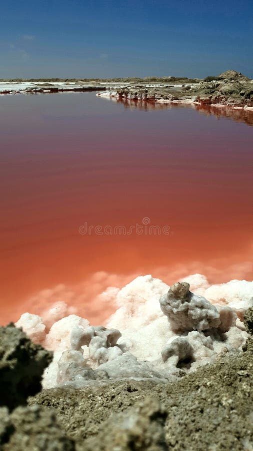 Salt pans, Namibia stock image. Image of valvis, 350000 - 168734235