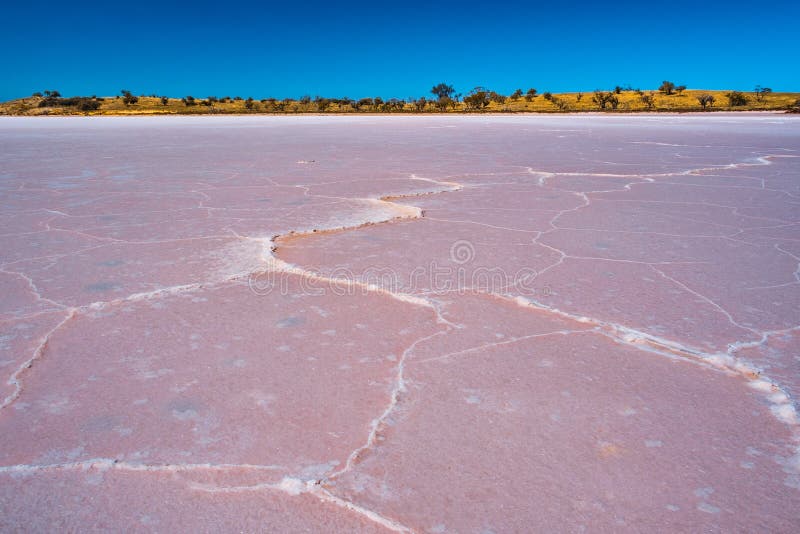 Salt Pattern on Pink Lake Surface. Stock Image - Image of australian ...