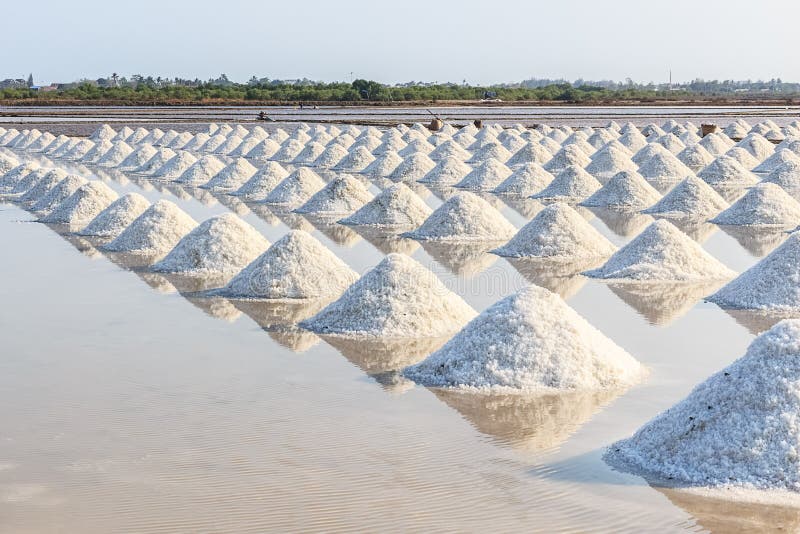 Salt Pile in Salt Farm stock photo. Image of farming - 68459146