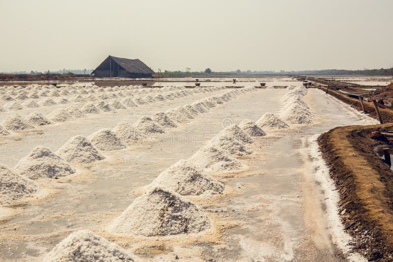 Salt Piles in the Saline from Samutsakorn, Thailand Stock Image - Image ...