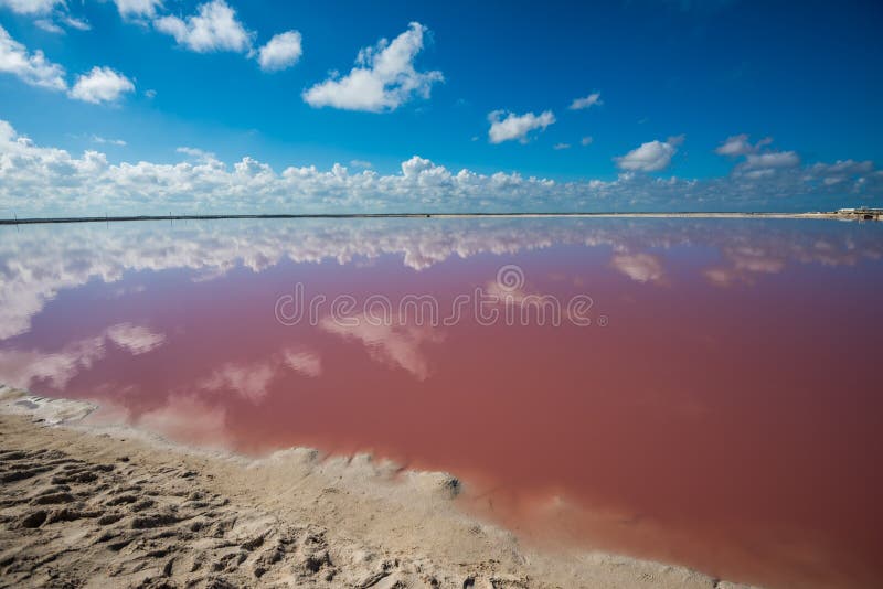 Salt Pink Lagoon in Las Coloradas, Yucatan, Mexico Stock Photo - Image ...