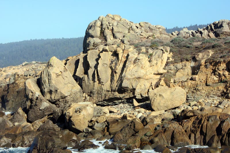 Salt Point State Park California Stock Image - Image of trees ...