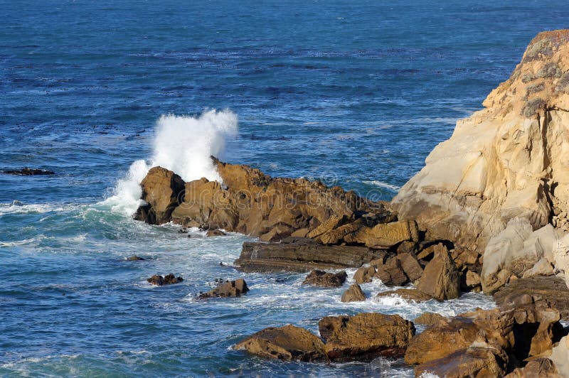 Salt Point State Park California Stock Image - Image of trees ...