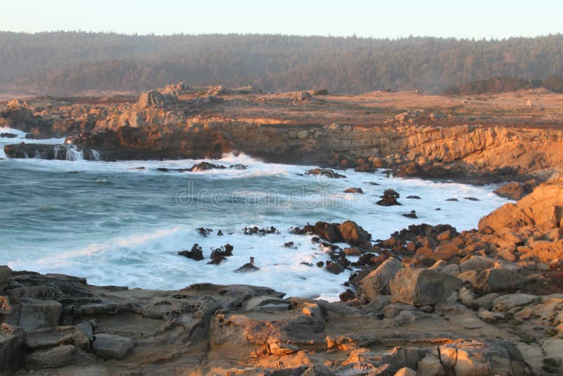 Salt Point State Park California Stock Image - Image of trees ...