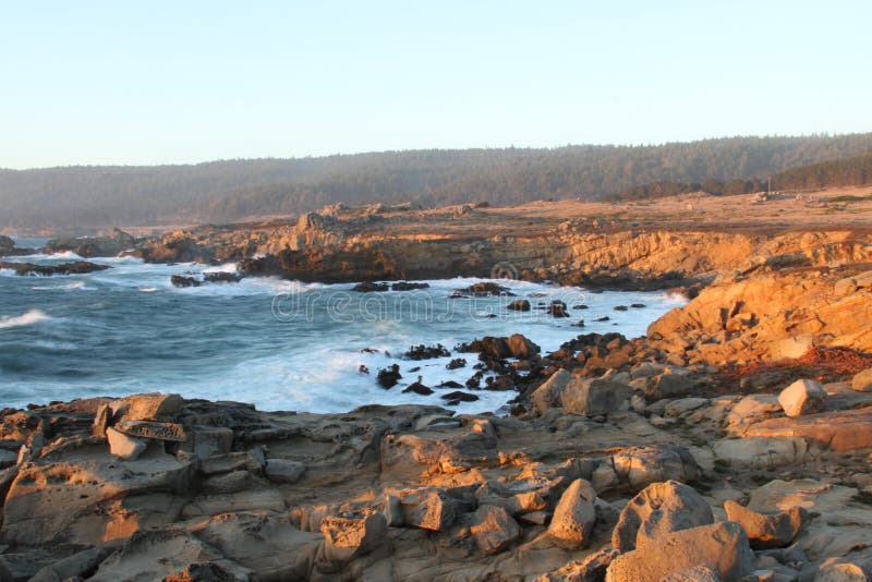 Salt Point State Park California Stock Image - Image of state, shrubs ...