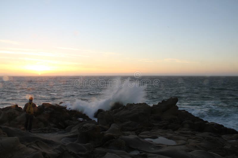 Salt Point State Park California Stock Image - Image of america, coast ...