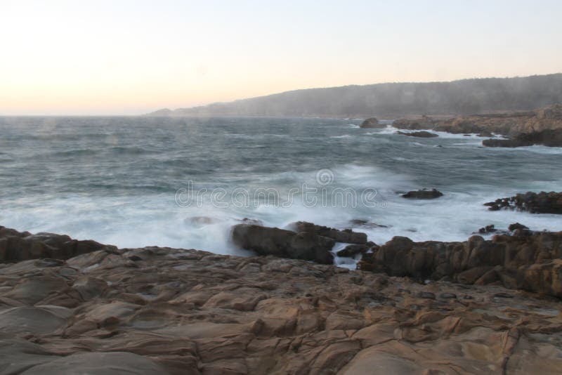 Salt Point State Park California Stock Photo - Image of highway, trees ...