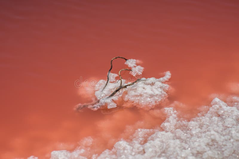 Salt in red water stock image. Image of snow, reaction - 85672429