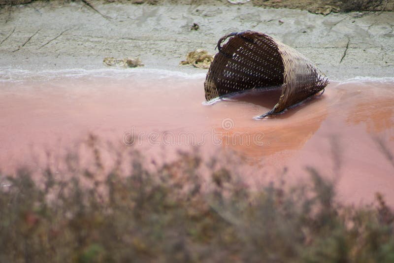 Salt in red water stock image. Image of wildlife, chemical - 85672439