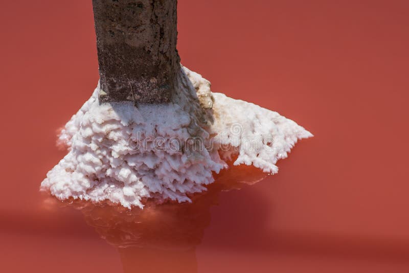 Salt in red water stock photo. Image of water, reaction - 85672478