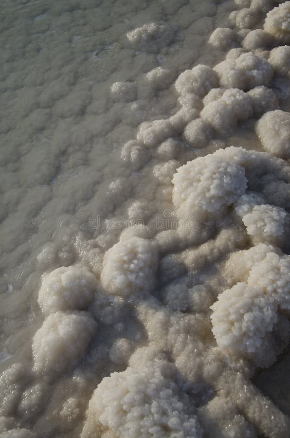 Salt Rocks at the Dead Sea stock photo. Image of closeup - 58261042