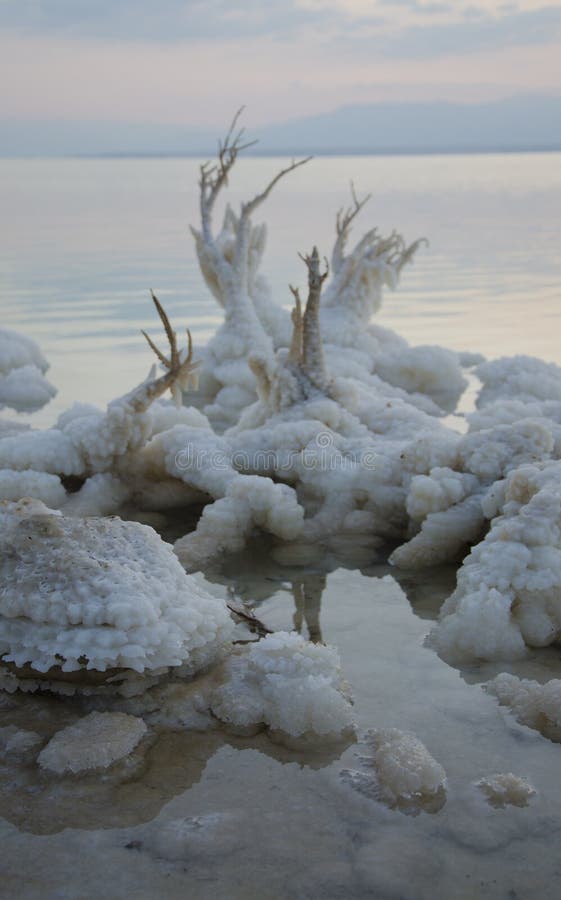 Salt Rocks and Tree stock image. Image of relaxation - 58854255