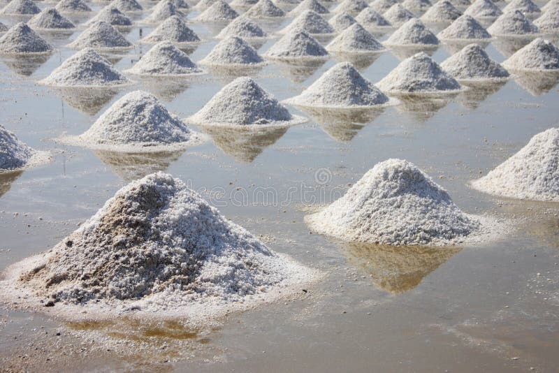Salt on the Salt Pan at Rural Area,Thailand Stock Image - Image of food ...
