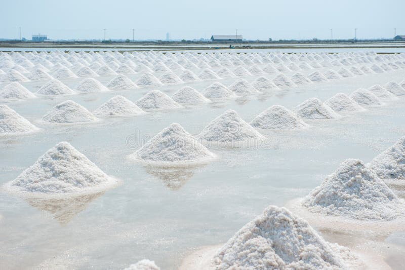 The Salt in Salt Pan on Thailand Stock Image - Image of farm, medicine ...