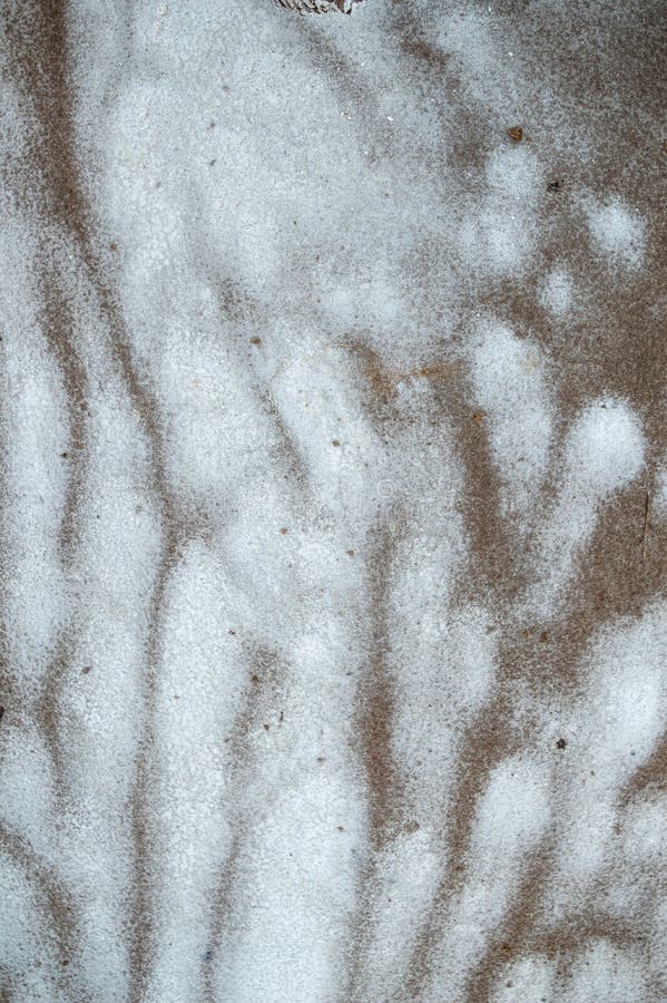 Salt and Sand on Ground of the Salt Lake Baskunchak. Stock Photo ...