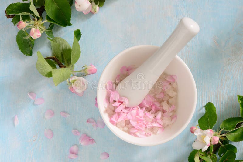 Scrab with Sea Salt. Banner. Light Backgroud Stock Image - Image of ...