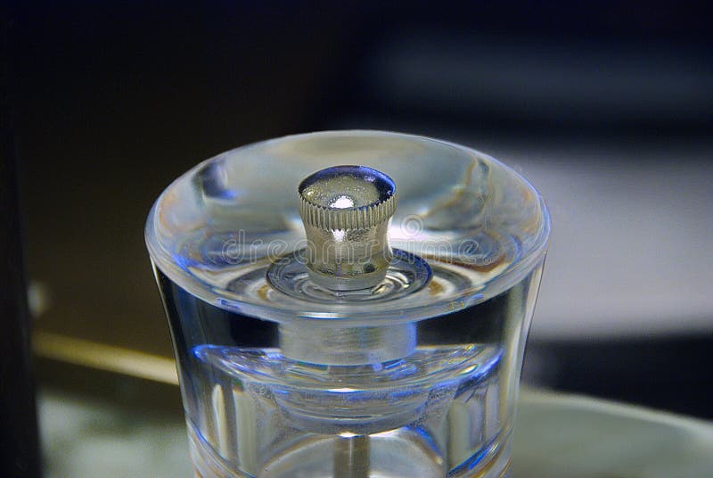 Salt shaker head stock image. Image of garden, branch - 113356001