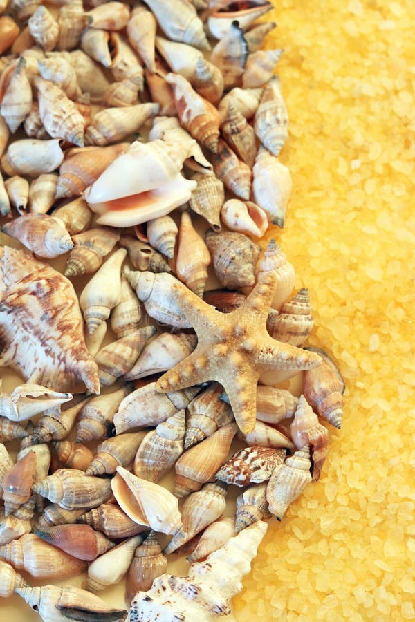 The Texture of the Starfish Beige on a White Background Stock Photo ...