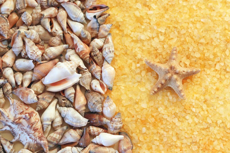 The Texture of the Starfish Beige on a White Background Stock Photo ...