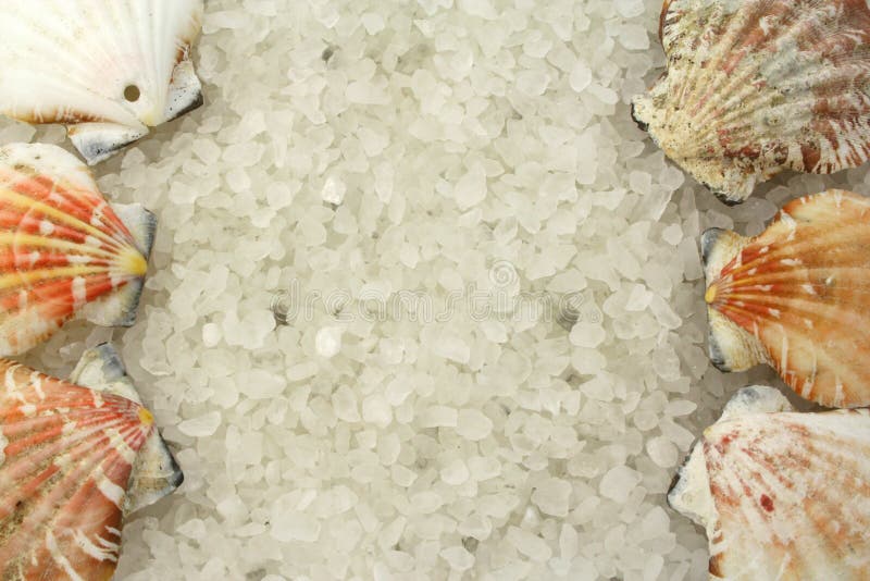 Salt and shells stock image. Image of close, nature, lifestyles - 18183687