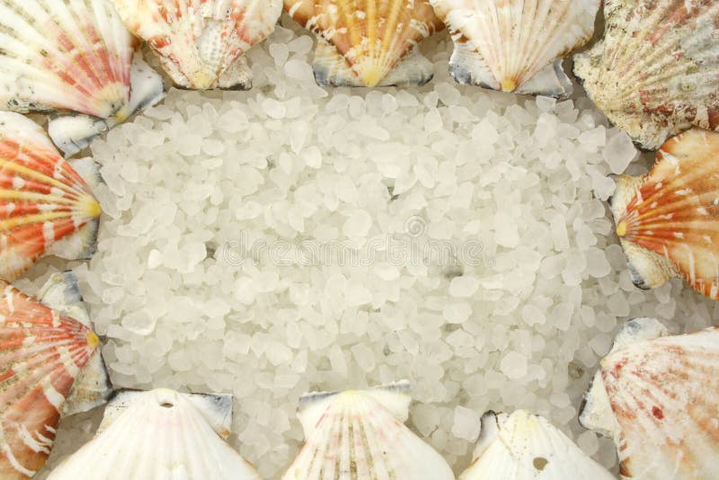 Salt and shells stock photo. Image of mineral, medicine - 18183764