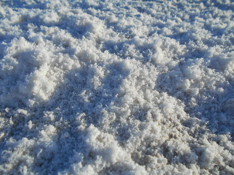 Salt stock photo. Image of salt, shore, lake, clean, crystals - 80230892