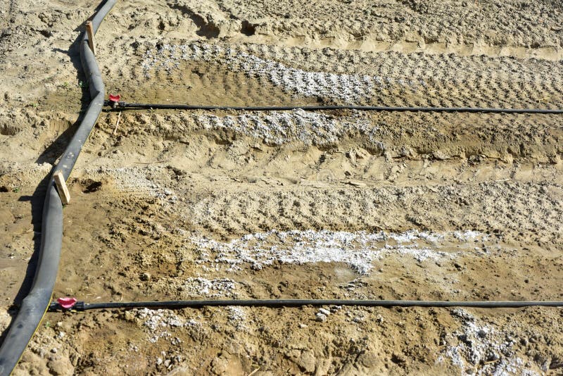 Leaching field stock image. Image of tank, treatment - 20793203