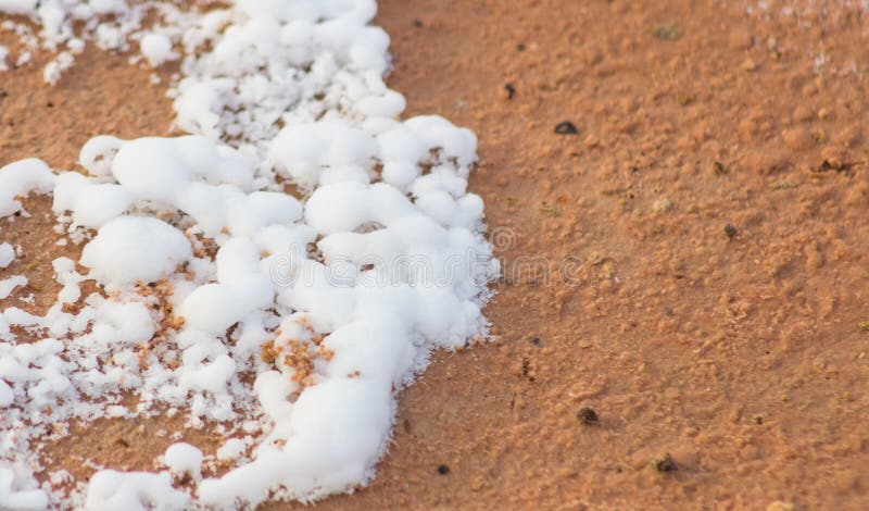 Salt on the soil surface stock image. Image of closeup - 121480745