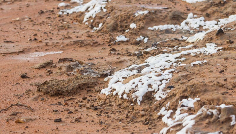 Salt on the soil surface stock image. Image of environment - 121480941