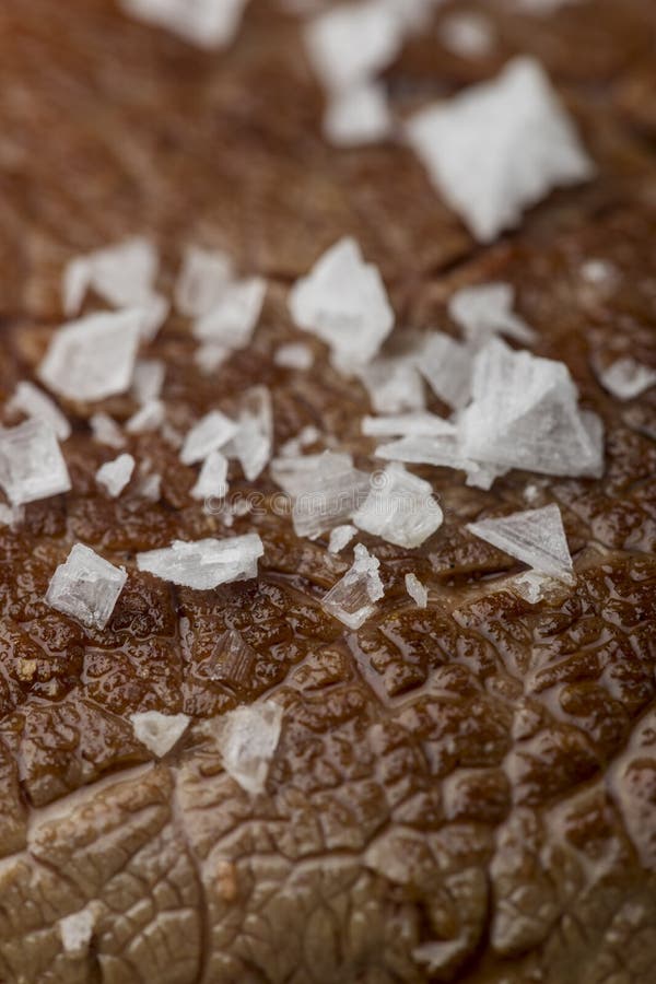 Salt on a steak stock photo. Image of spices, rosemary - 183182360