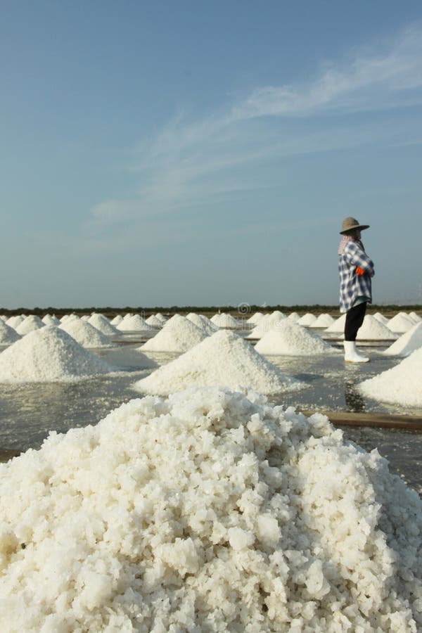 Salt farm editorial photo. Image of agriculture, ingredient - 55464416