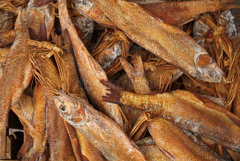 Salt torkad fisk arkivfoto. Bild av stank, bevara, marknad - 13218644
