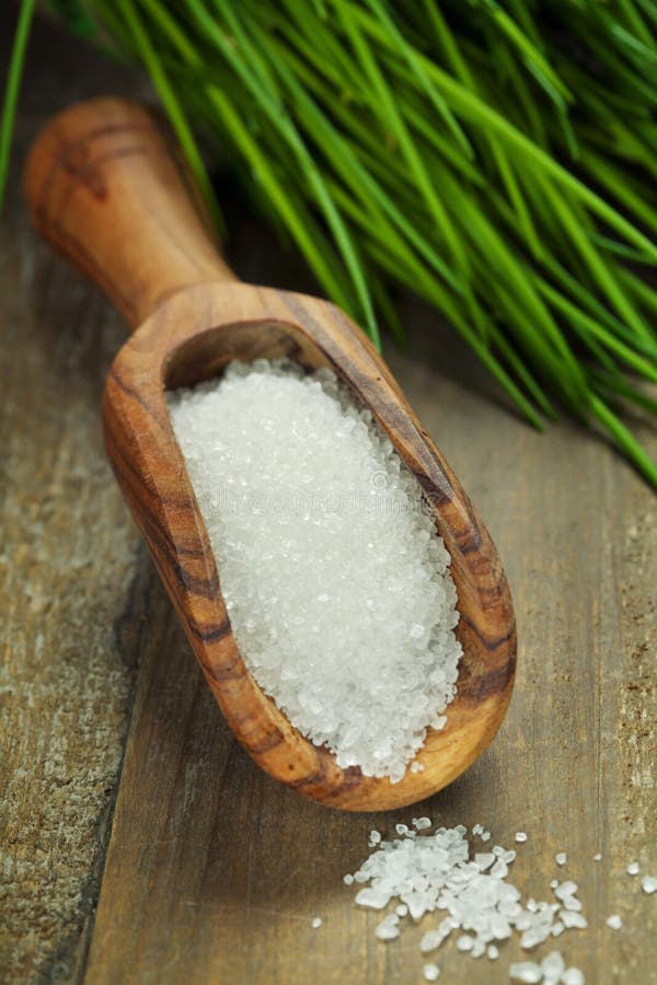 Salt and vegetables stock photo. Image of aromatic, basil - 23329674