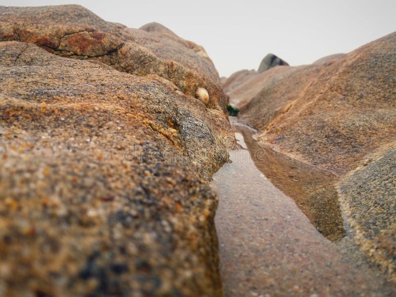 Salt Water, Cliffs, Beach Sand and Green Algae Stock Image - Image of ...