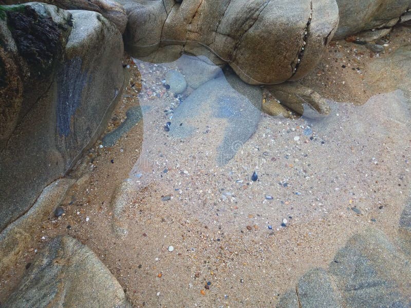 Salt Water, Cliffs, Beach Sand and Green Algae Stock Image - Image of ...