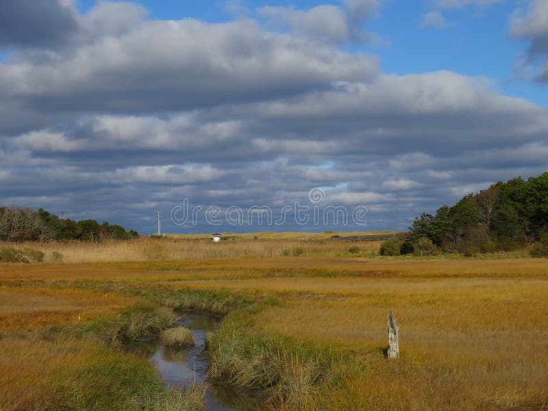 Salt Water Marsh, Eastham, Cape Cod, Stock Image - Image of marsh ...