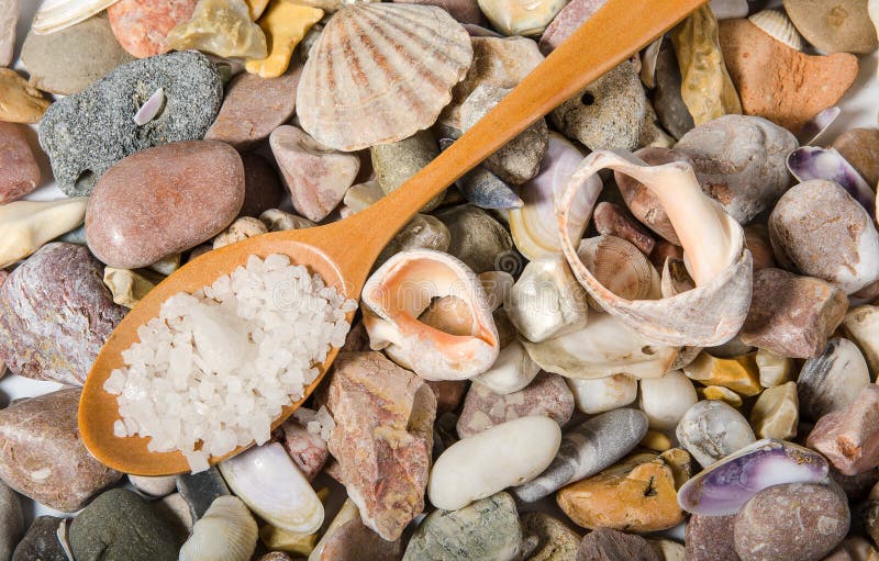 Salt and pebble stock image. Image of shell, brown, ocean - 137139305