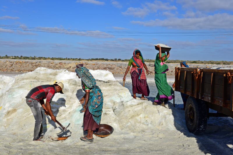 Salt Worker in India editorial stock image. Image of minerals - 39610939
