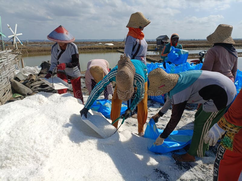 Salt Workers Fill Salt into Sacks Editorial Stock Photo - Image of boat ...