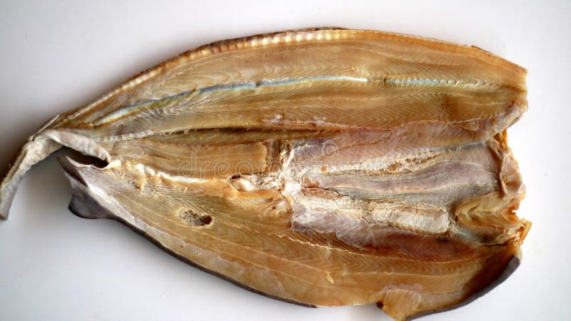Saltad torkad fisk arkivfoto. Bild av matlagning, torkat - 104152094