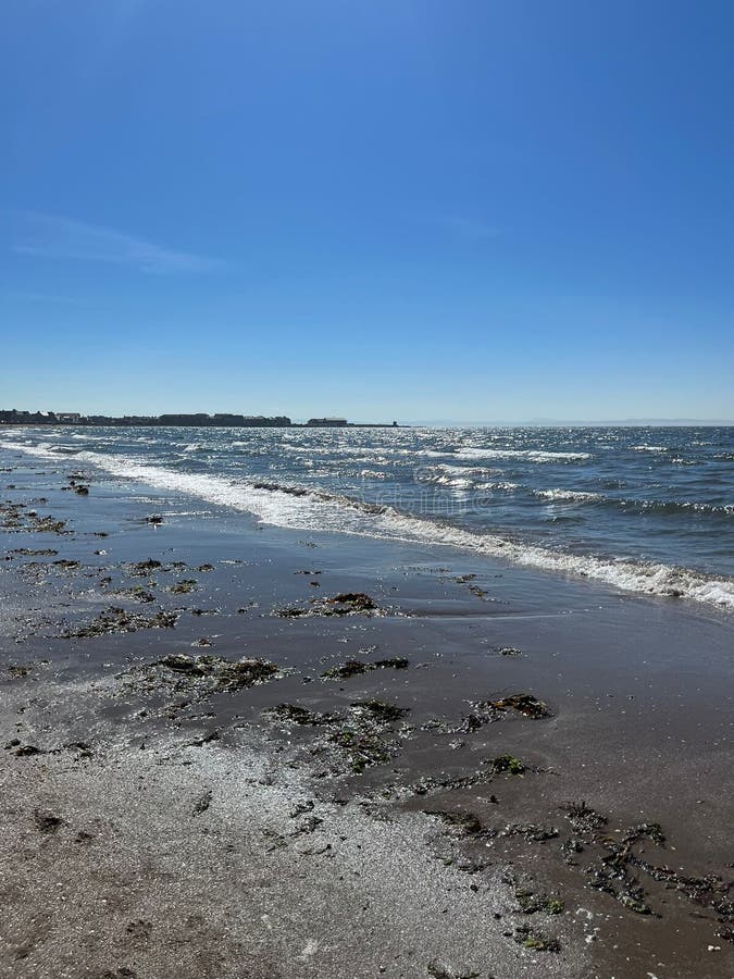 Saltcoats stock photo. Image of jellyfish, beach, saltcoats - 254853518