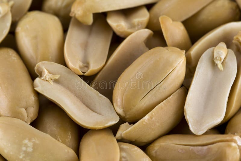 Salted american peanuts stock photo. Image of nuts, seeds - 128559060